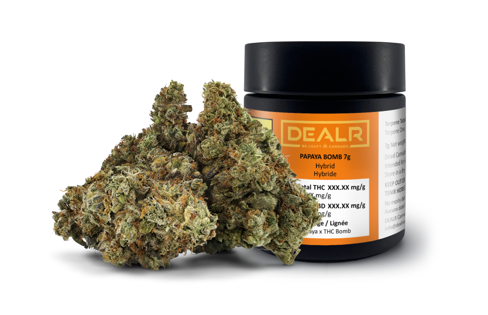 Papaya Bomb 7g – DEALR Cannabis