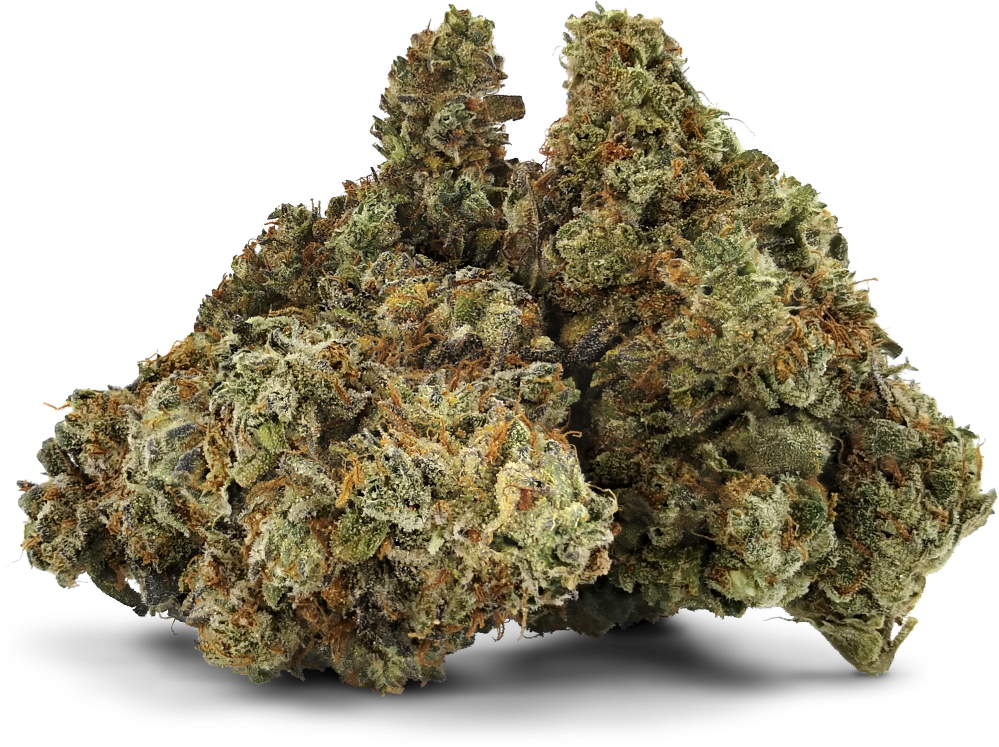 Papaya Bomb 7g – DEALR Cannabis